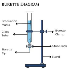 What is a burette? Diagram, Parts, Uses, Types and Price Guide
