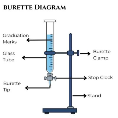 What is a burette? Diagram, Parts, Uses, Types and Price Guide